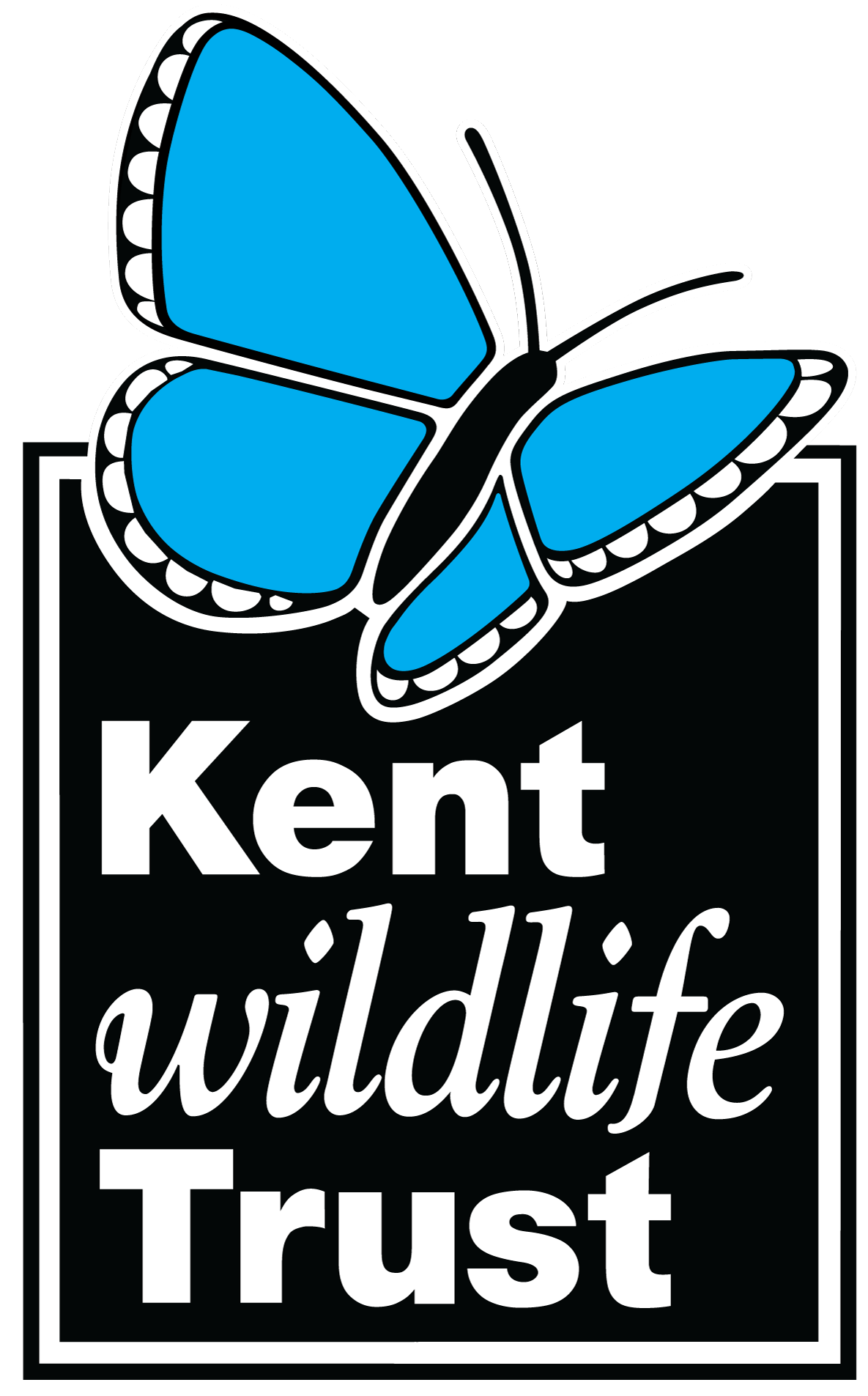 Donate to Conservation Evidence | About Conservation Evidence