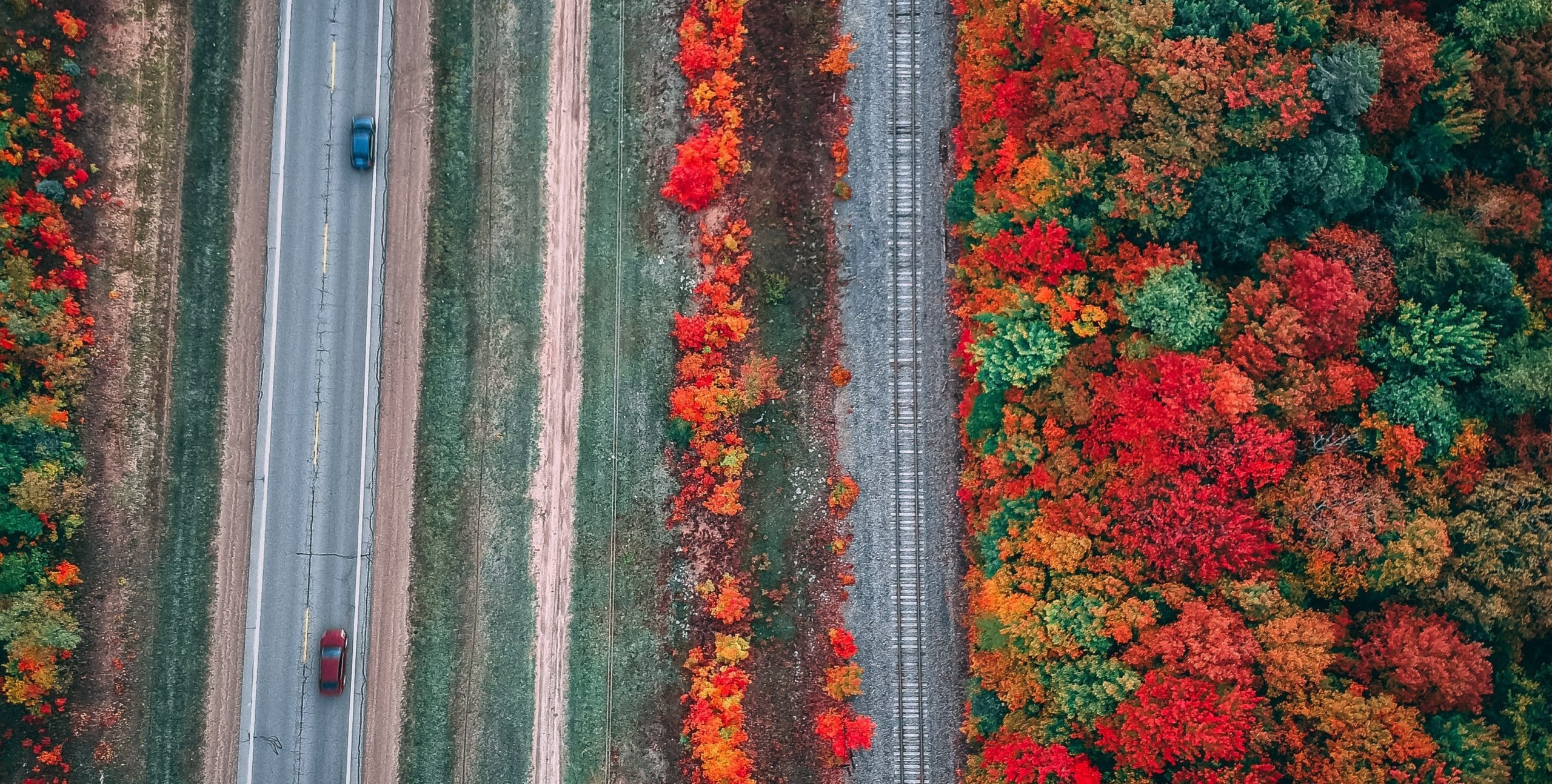 Future infrastructure expansion poses severe biodiversity risks and ...