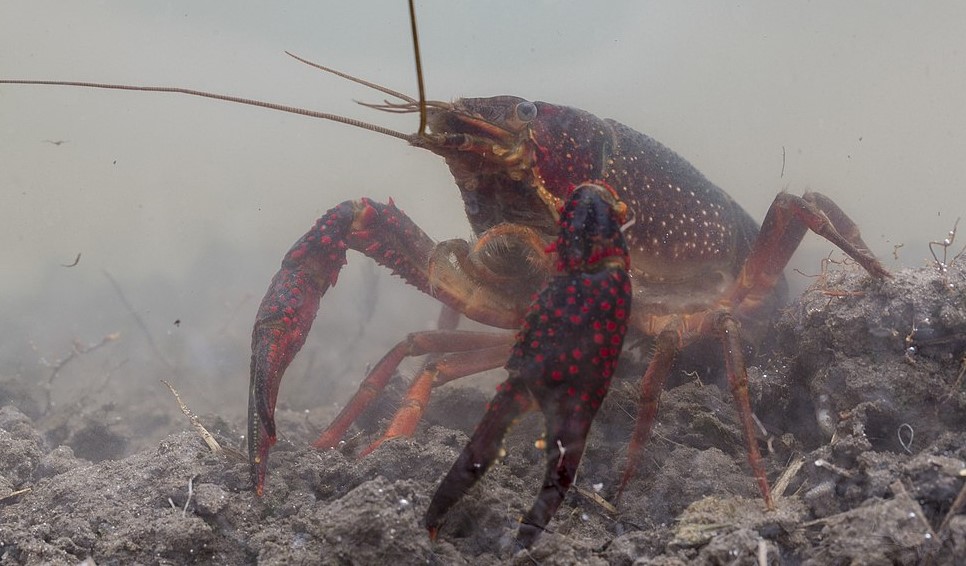 A tale of a plucky masters student, resources wasted, and how lack of ...