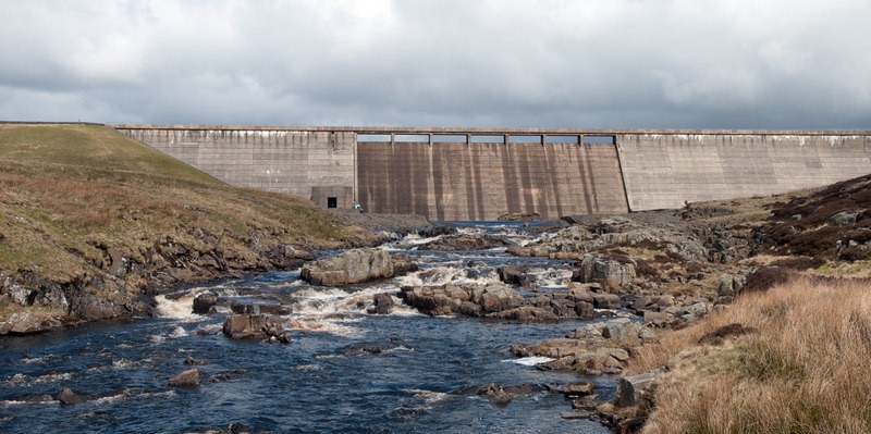 Introducing the new Conservation Evidence synopsis: Eel Conservation in ...